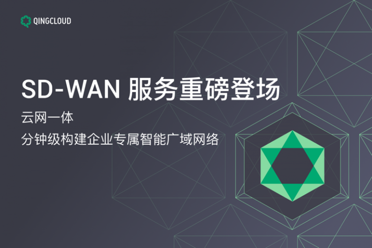 青云QingCloud 推出 SD-WAN 服务 分钟级构建企业专属广域网 | 青云志